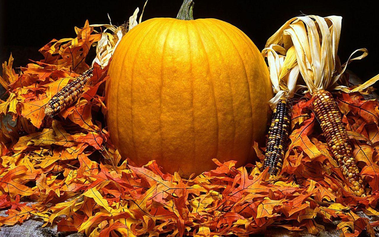 Fall Scene with Pumpkins Wallpapers - Top Free Fall Scene with Pumpkins ...