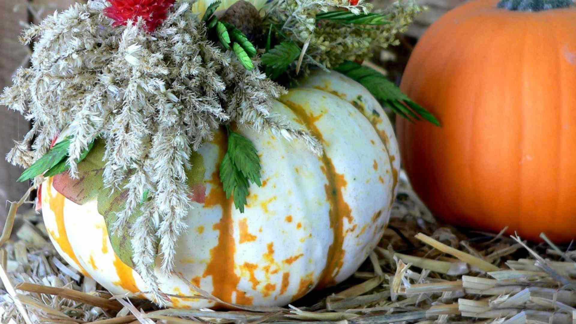 Fall Autumn Pumpkins Desktop Wallpapers - Top Free Fall Autumn Pumpkins ...