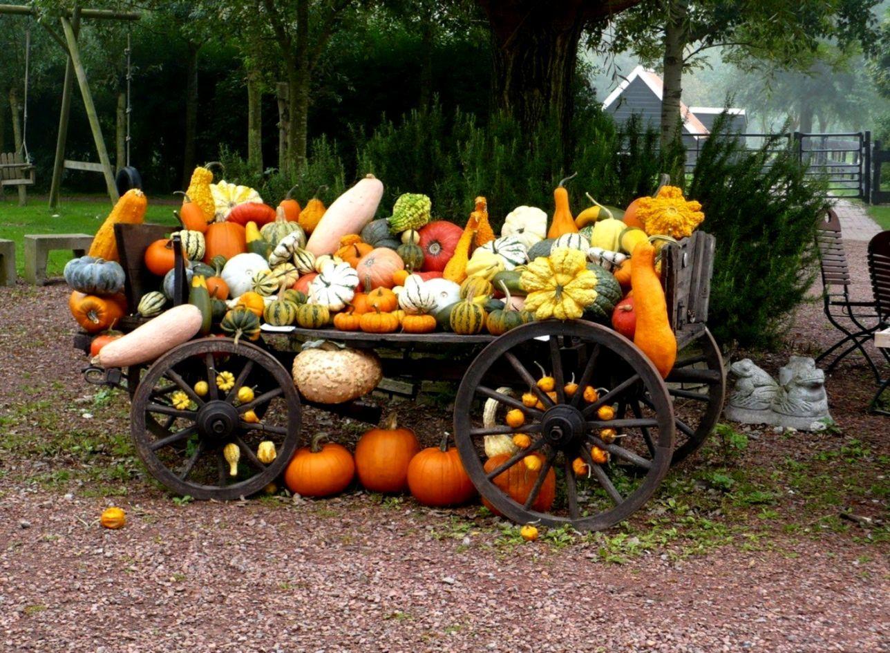 Fall Harvest Wallpapers - Top Free Fall Harvest Backgrounds ...