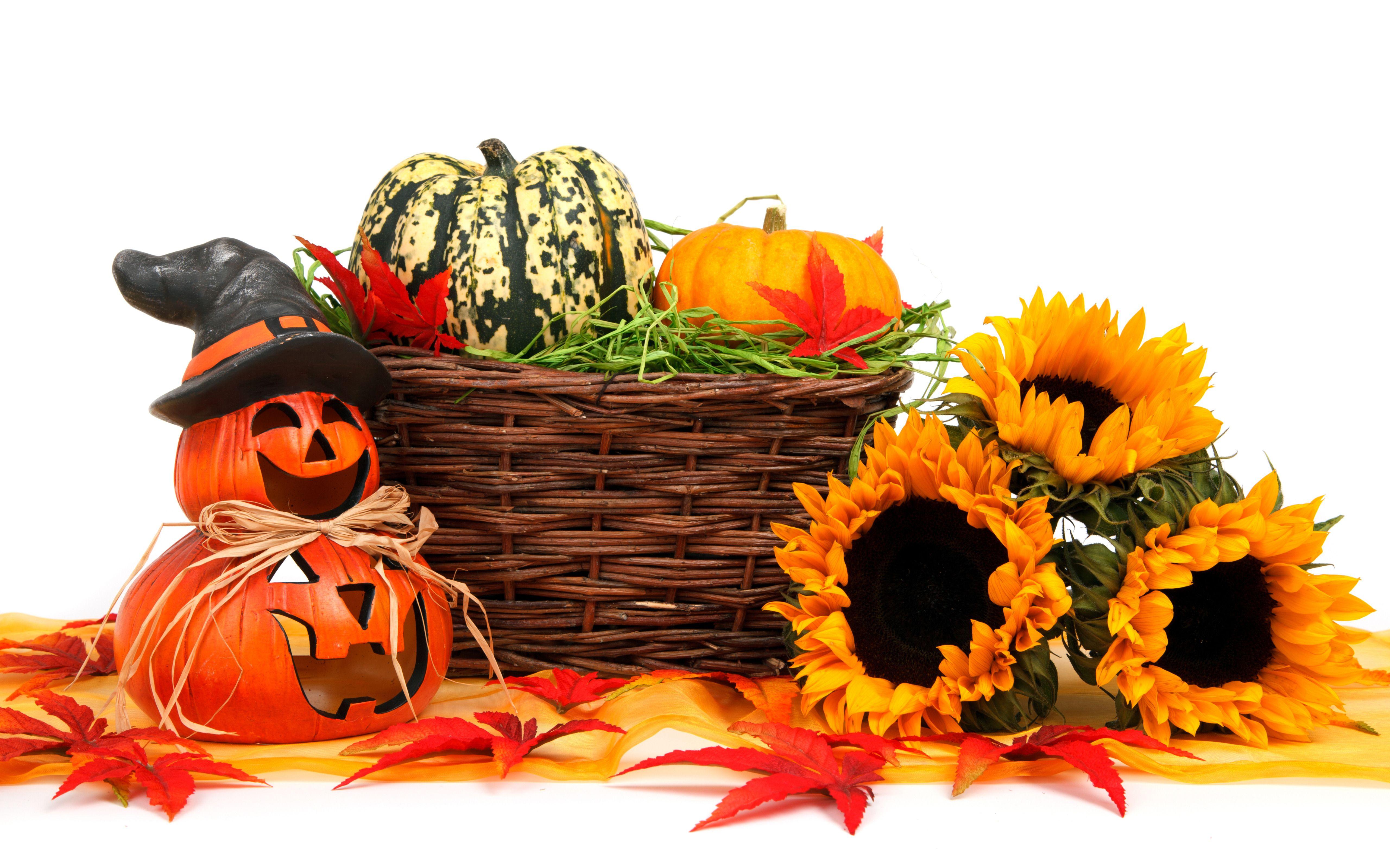 Fall Harvest Pumpkin Sunflower Wallpapers - Top Free Fall Harvest ...