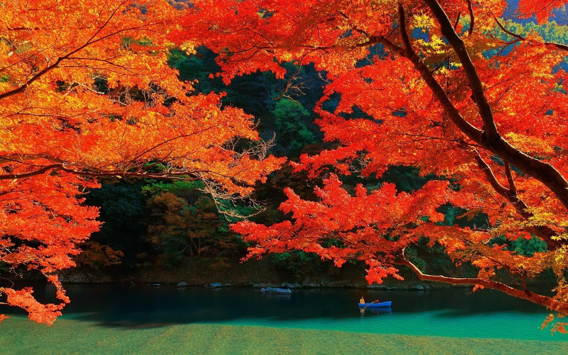 Kyoto Fall Wallpapers - Top Free Kyoto Fall Backgrounds - WallpaperAccess