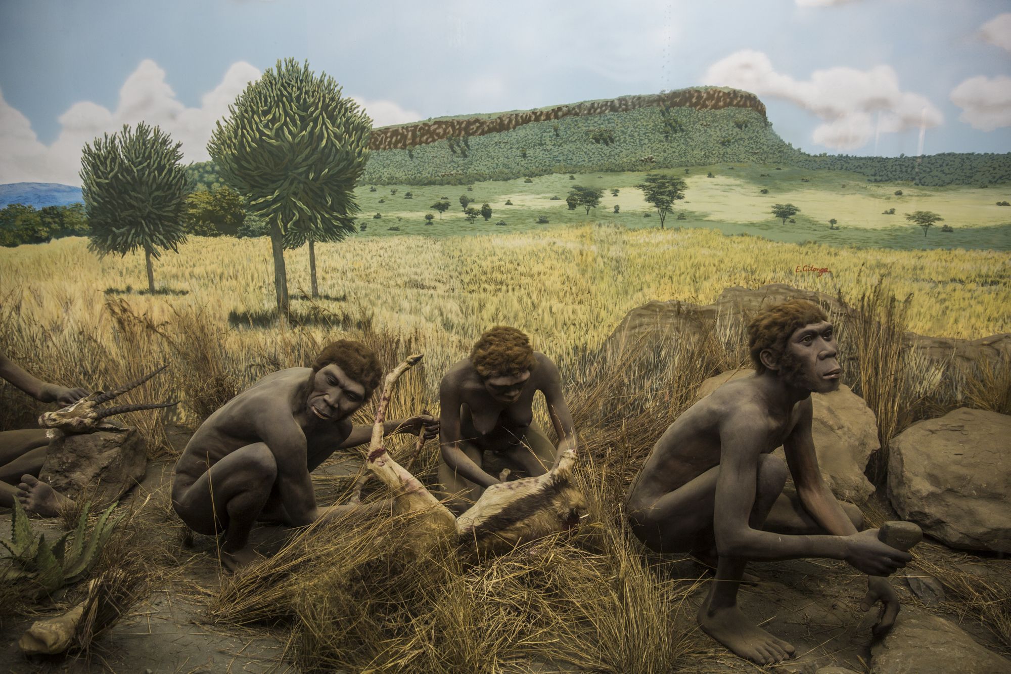 Homo Sapiens Wallpapers - Top Free Homo Sapiens Backgrounds ...