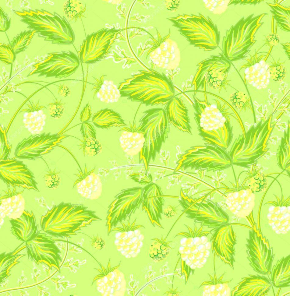 Cute Floral Green Wallpapers - Top Free Cute Floral Green Backgrounds ...