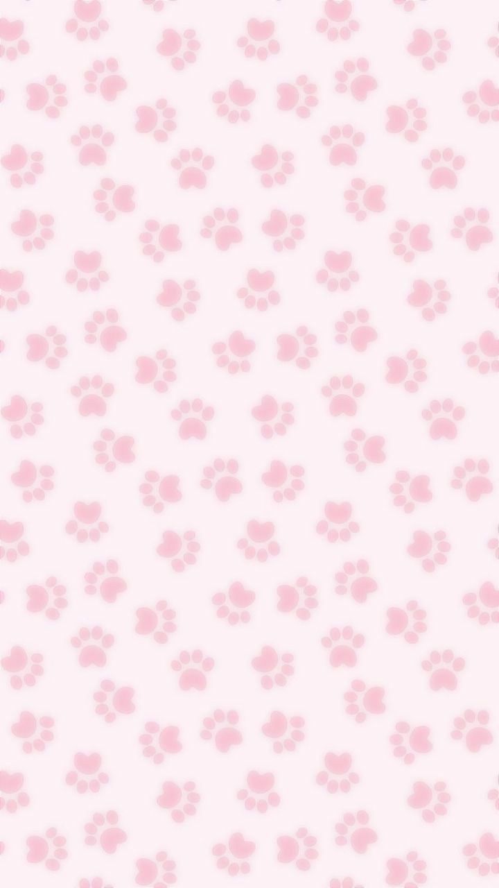 Morute Wallpapers - Top Free Morute Backgrounds - WallpaperAccess