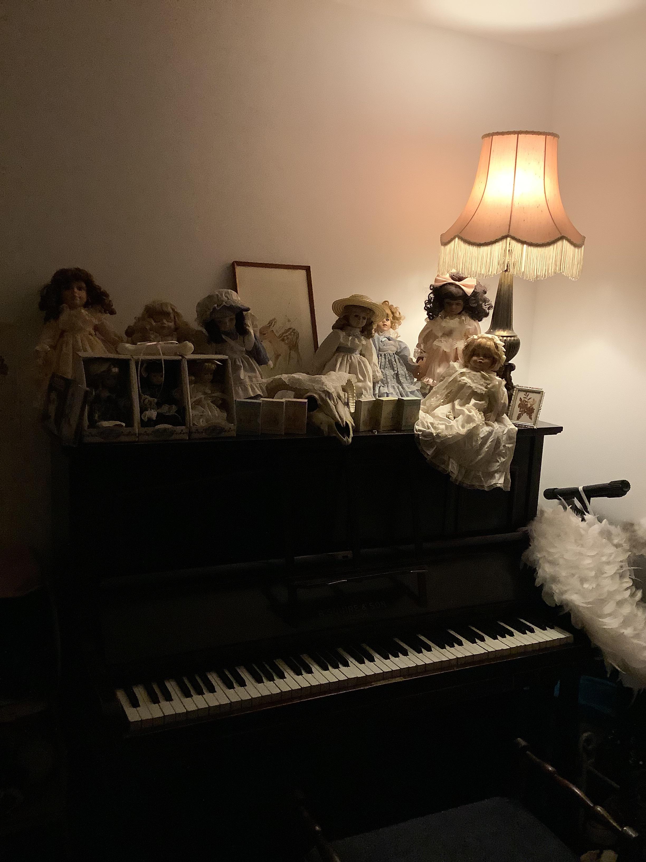 Morute Wallpapers - Top Free Morute Backgrounds - WallpaperAccess