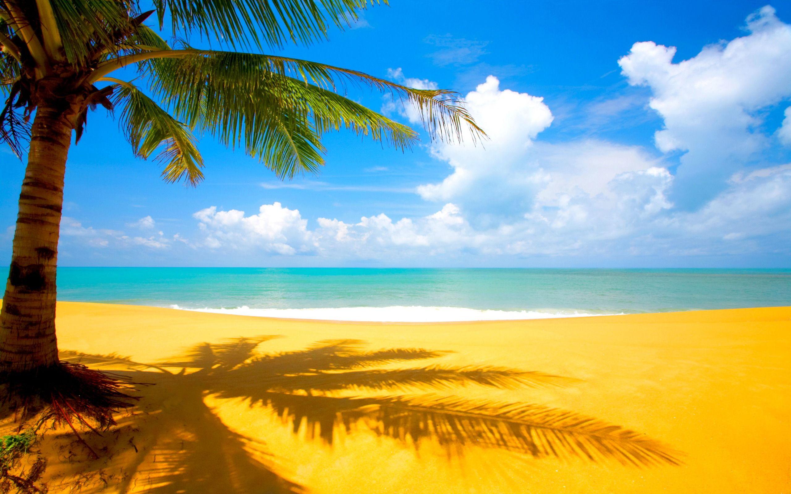 Jpg Wallpapers - Top Free Jpg Backgrounds - WallpaperAccess