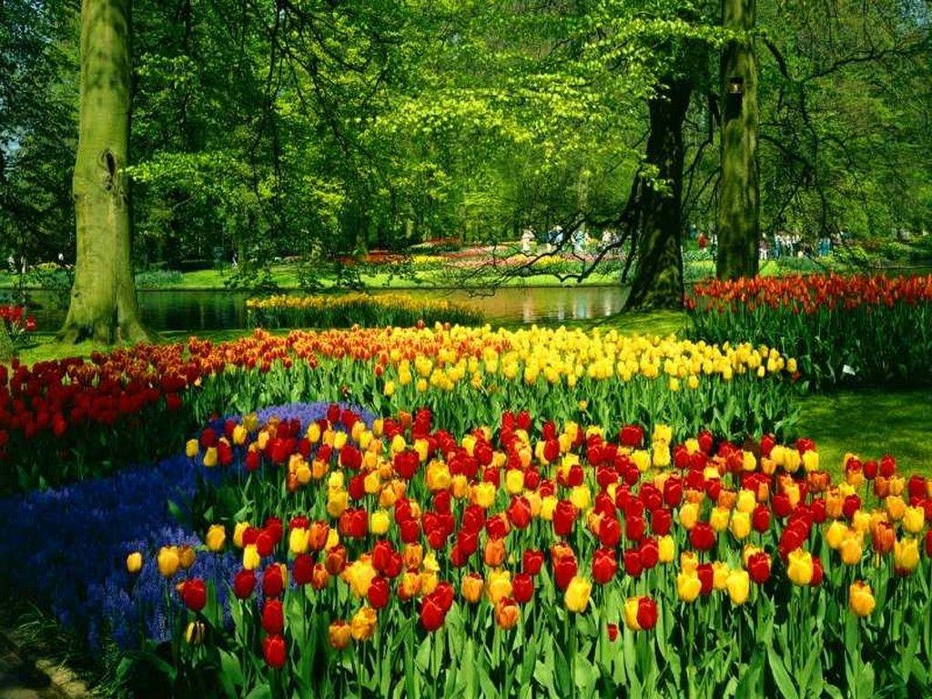 Bing Spring Wallpapers - Top Free Bing Spring Backgrounds - WallpaperAccess
