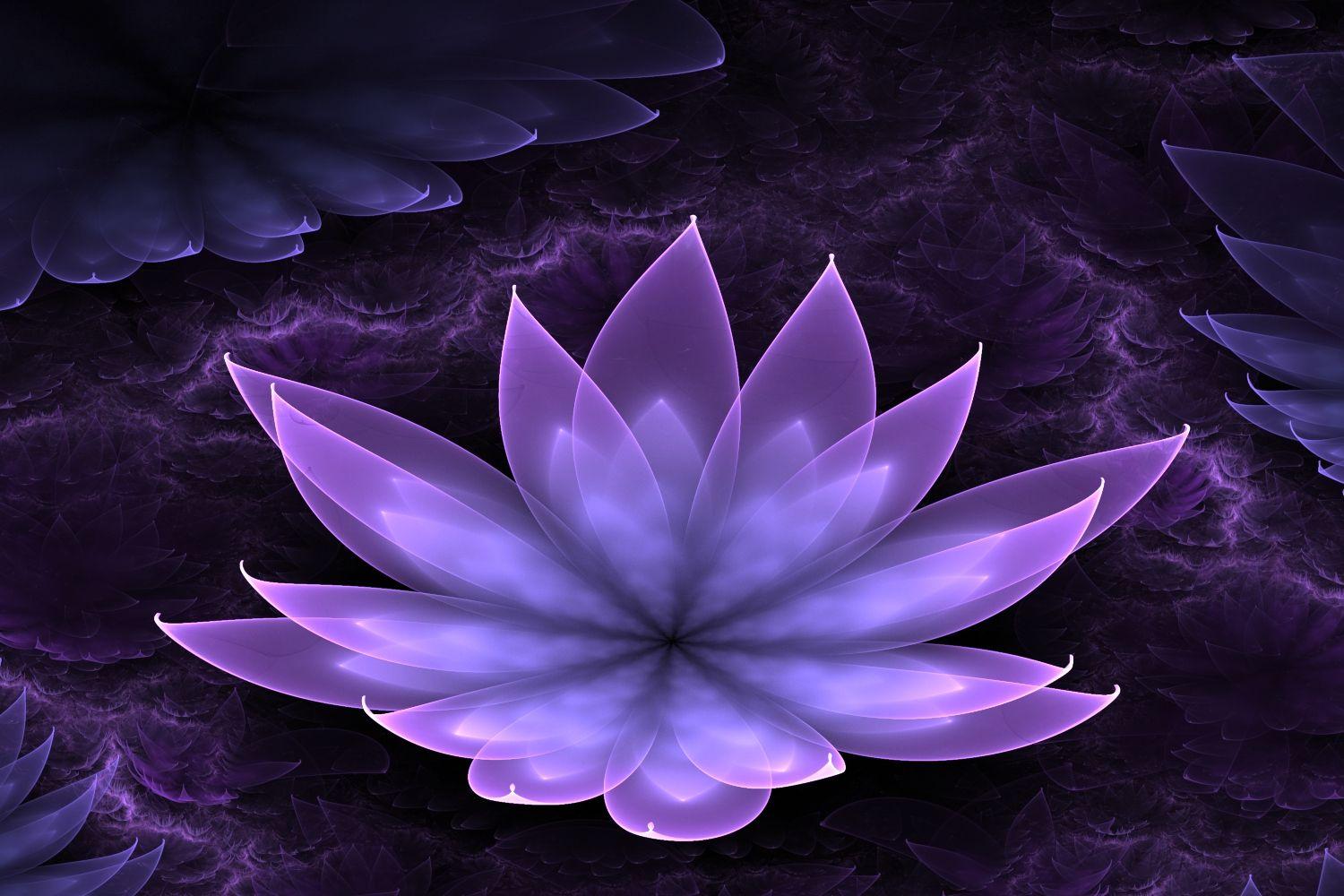Neon Lotus Flower Wallpapers - Top Free Neon Lotus Flower Backgrounds ...