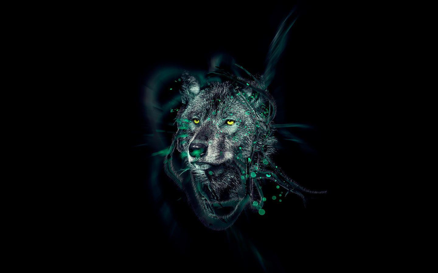 Justin Maller 4K Desktop Wallpapers - Top Free Justin Maller 4K Desktop ...