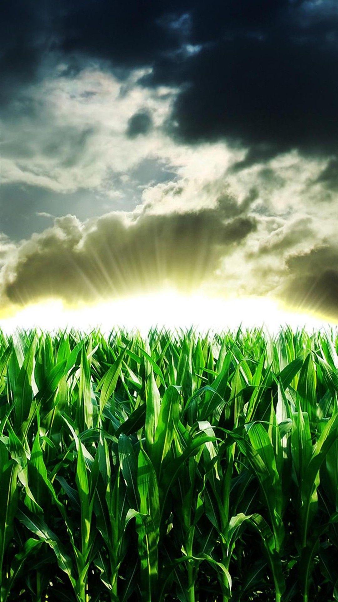 3G Wallpapers - Top Free 3G Backgrounds - WallpaperAccess