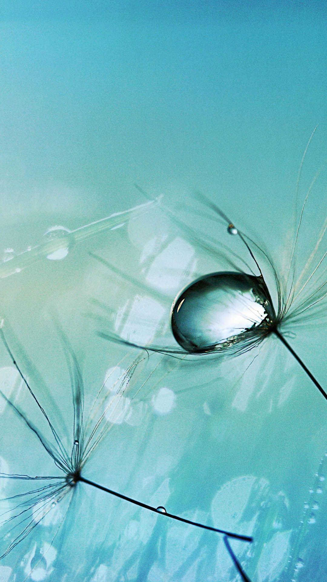 3G Wallpapers - Top Free 3G Backgrounds - WallpaperAccess