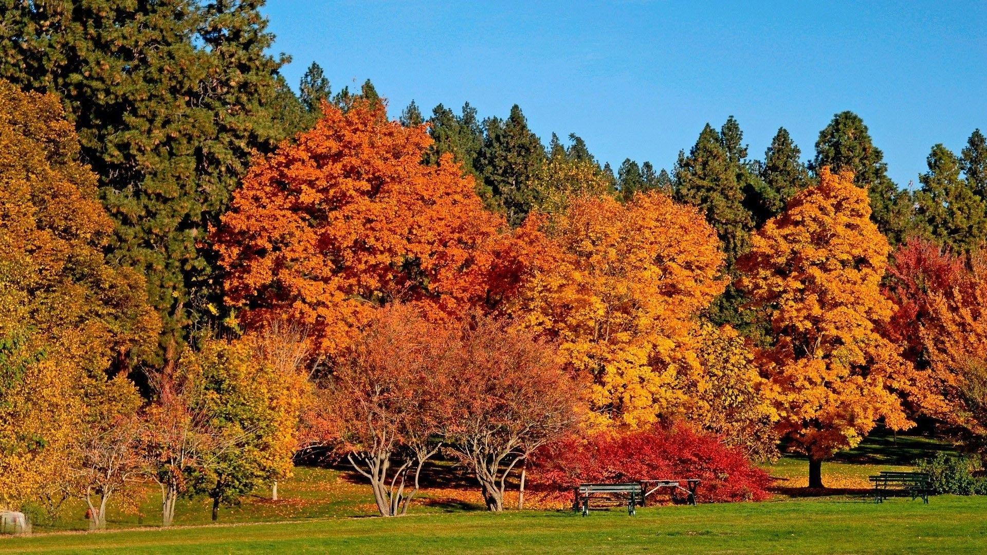 Autumn Nature Desktop Wallpapers - Top Free Autumn Nature Desktop ...