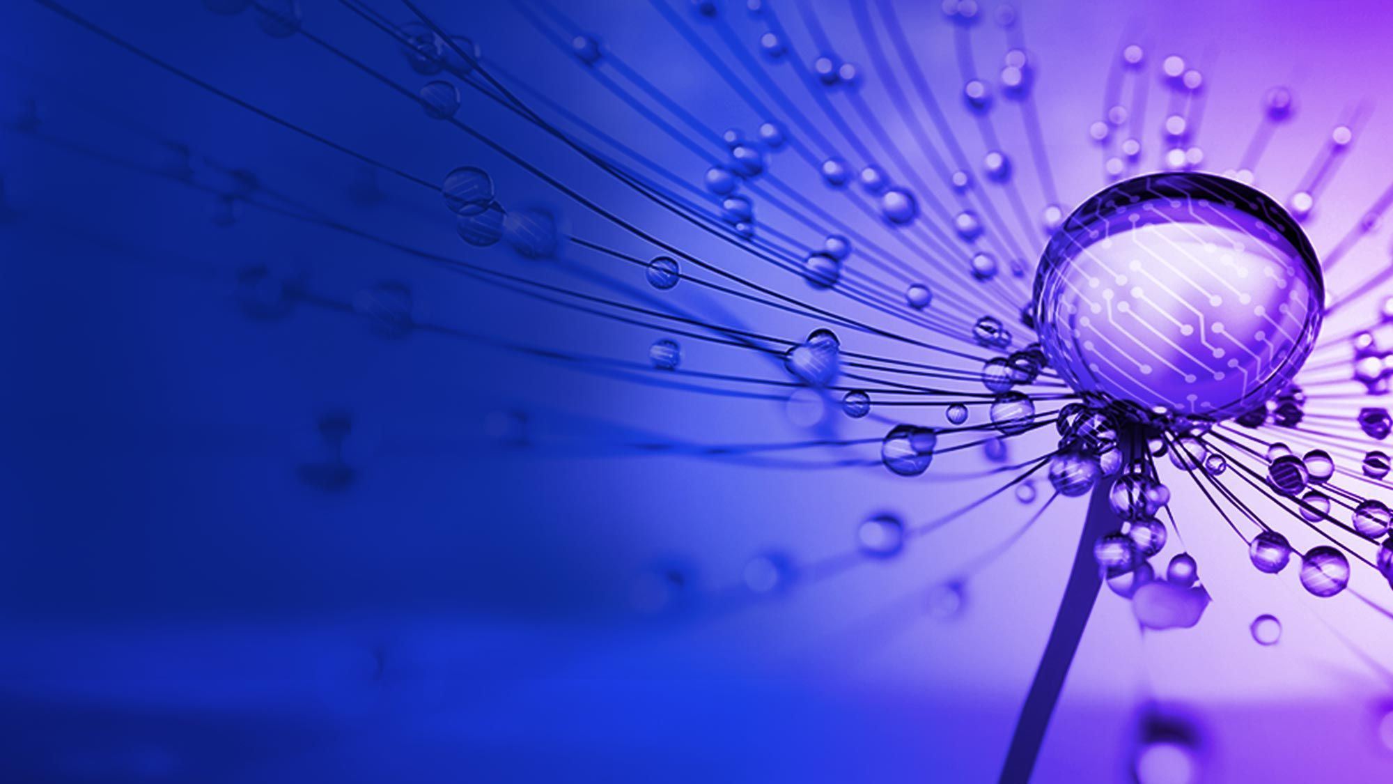 KPMG Wallpapers - Top Free KPMG Backgrounds - WallpaperAccess