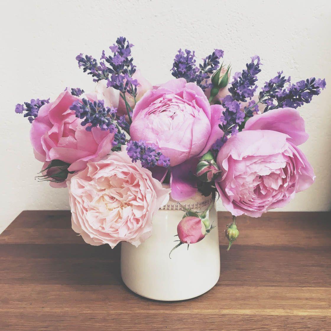 Pink VSCO Wallpapers - Top Free Pink VSCO Backgrounds - WallpaperAccess