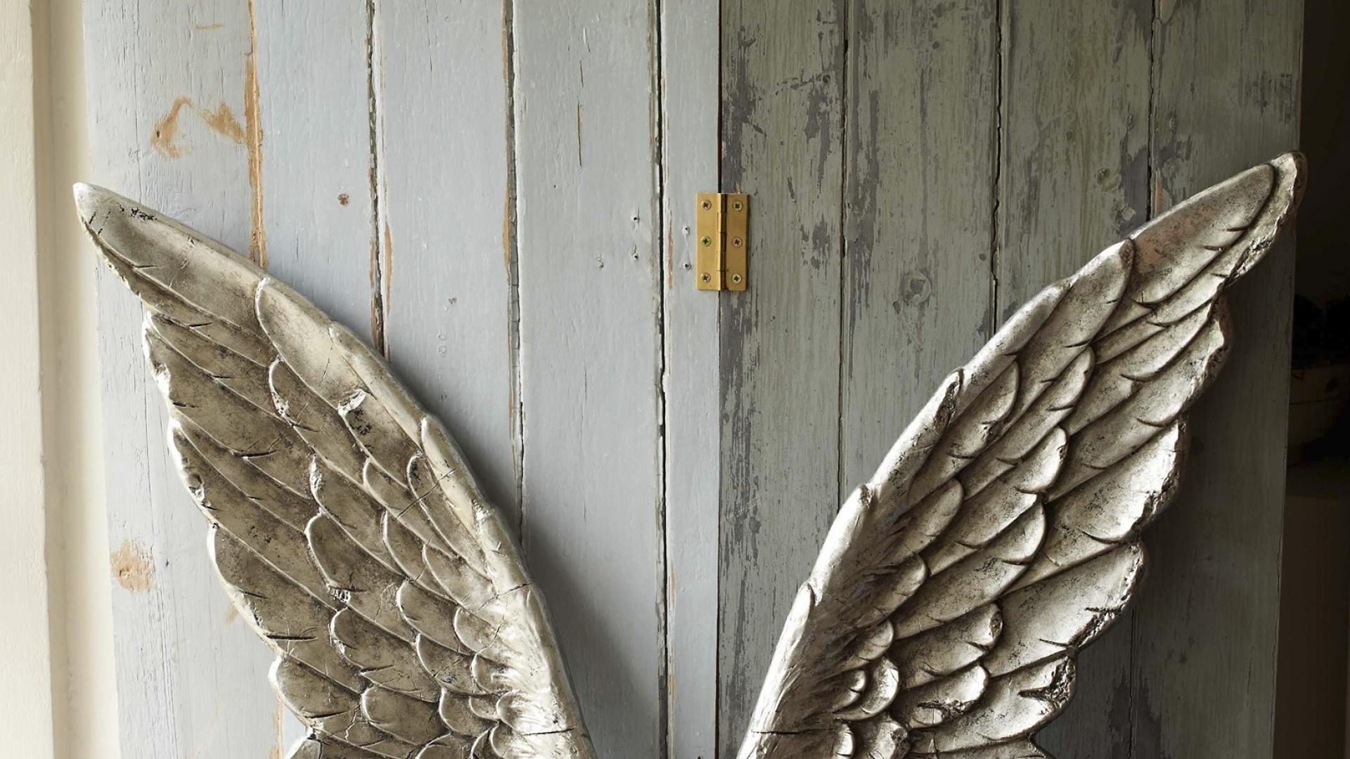 Angel Wings Wallpapers - Top Free Angel Wings Backgrounds - WallpaperAccess