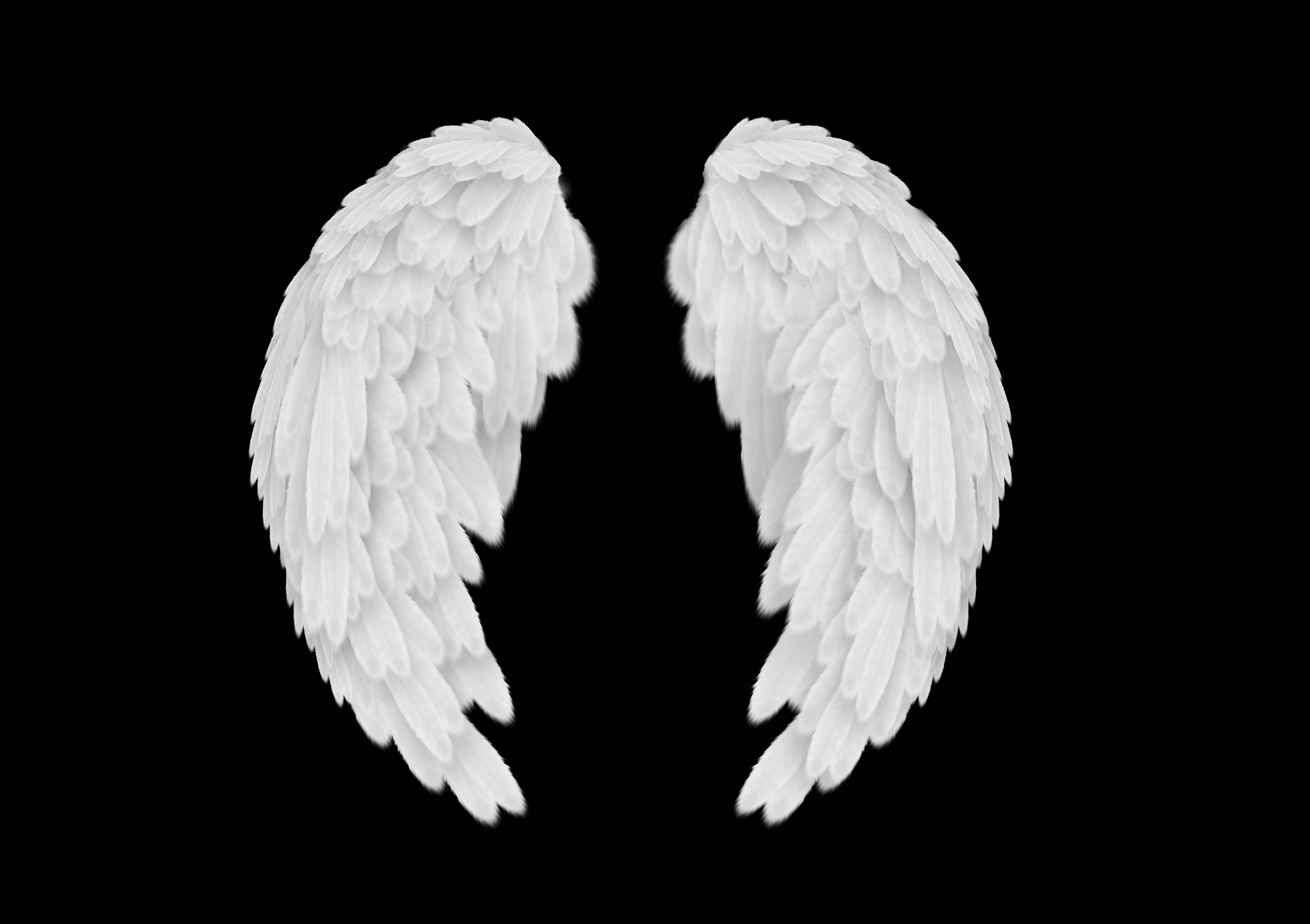 Angel Wings Wallpapers - Top Free Angel Wings Backgrounds - WallpaperAccess Angel Wings Wallpapers - Top Free Angel Wings Backgrounds - WallpaperAccess