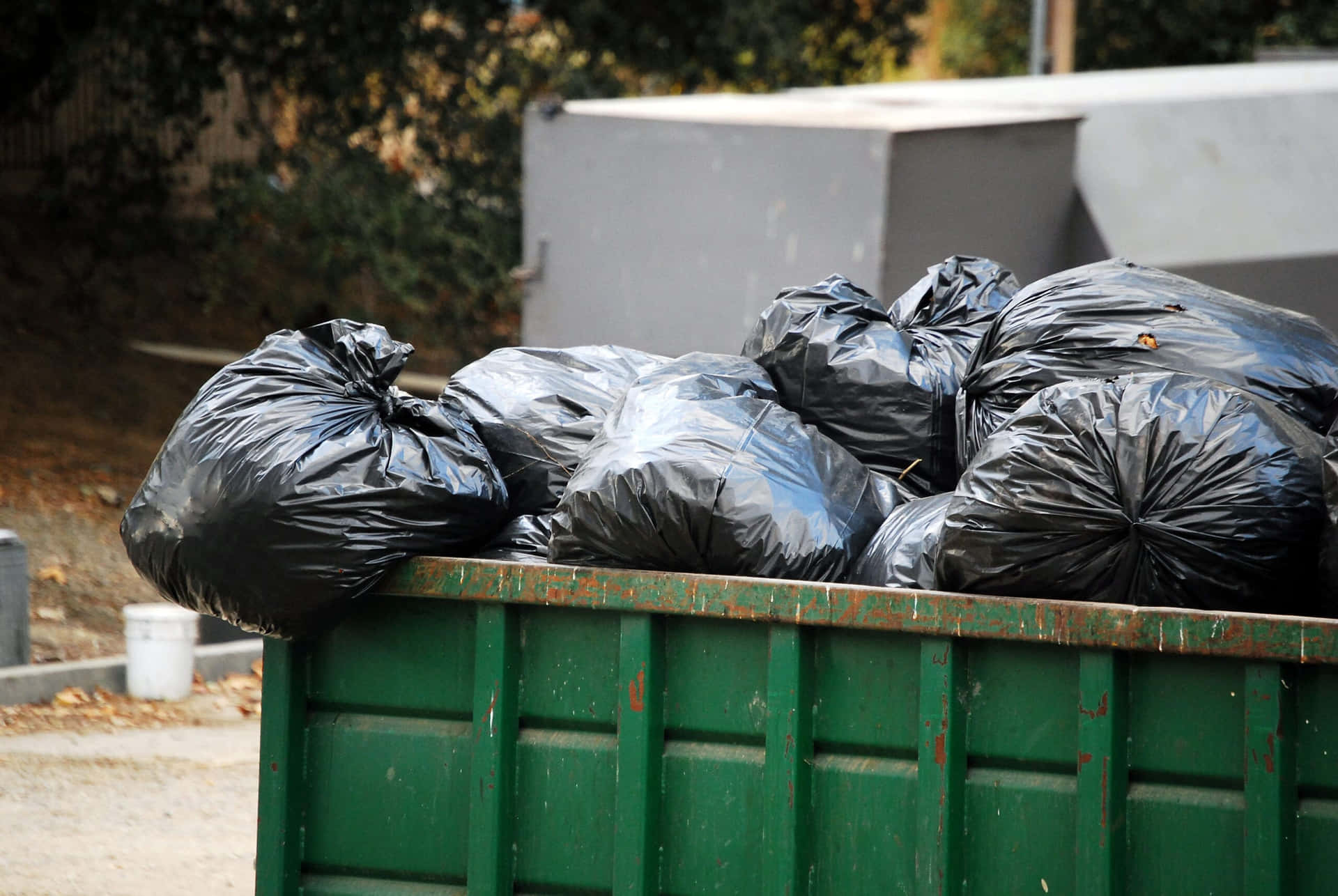 Dumpster Wallpapers - Top Free Dumpster Backgrounds - WallpaperAccess