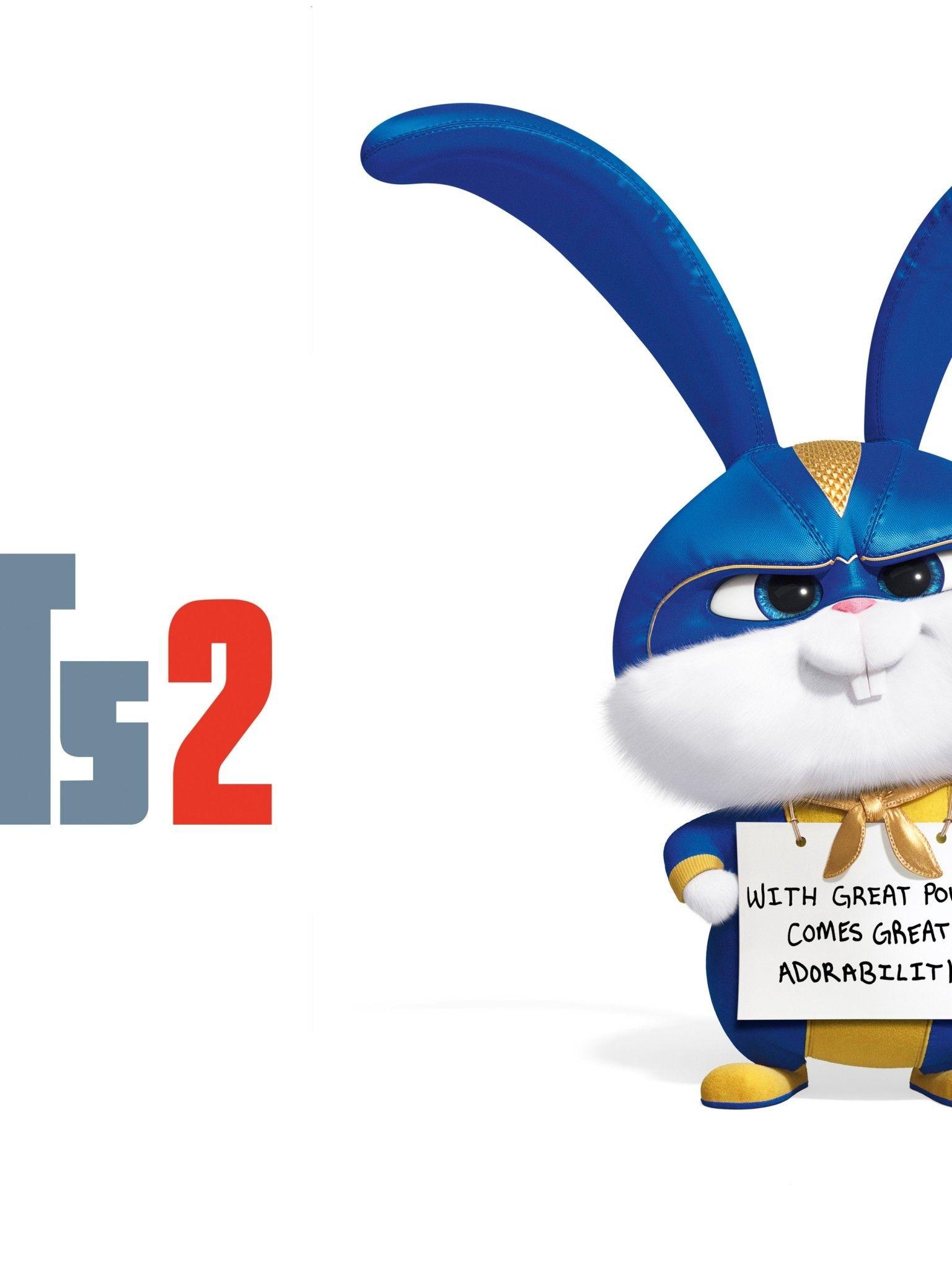 Snowball Wallpapers - Top Free Snowball Backgrounds - WallpaperAccess