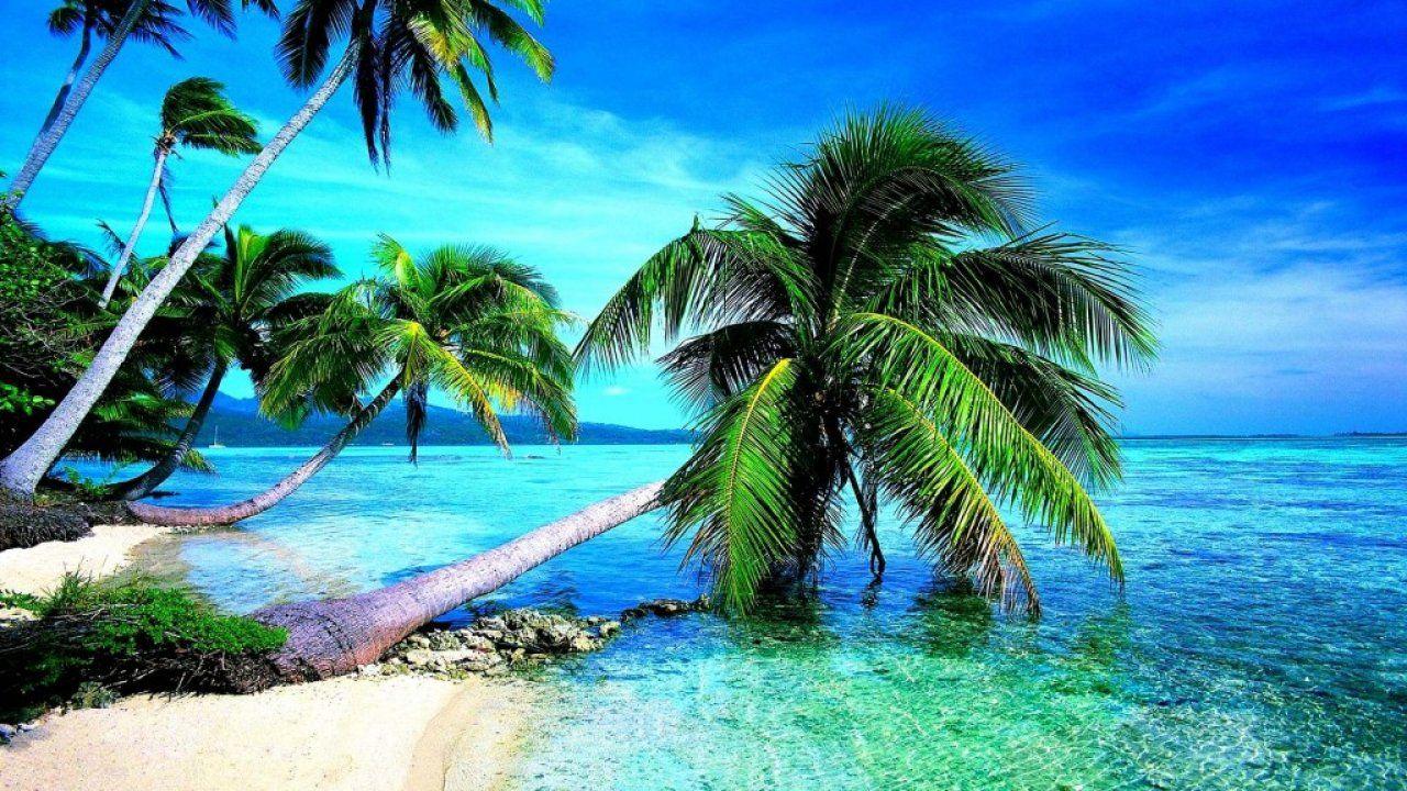 Display Wallpapers - Top Free Display Backgrounds - WallpaperAccess