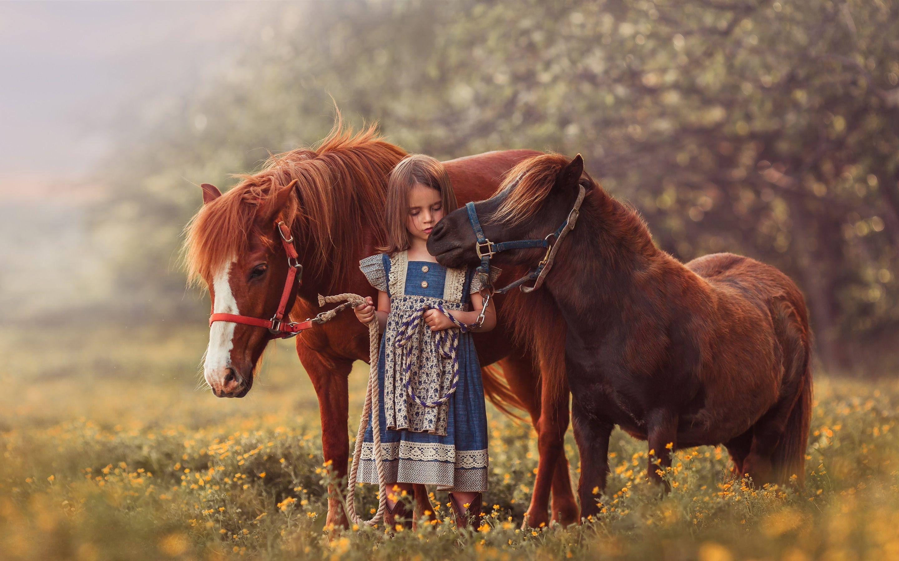 Baby Pony Wallpapers - Top Free Baby Pony Backgrounds - WallpaperAccess