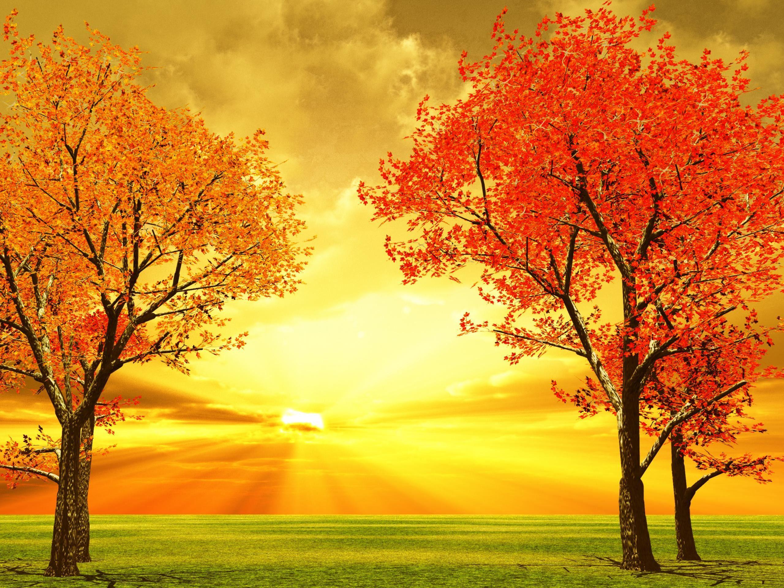 Colorful Autumn Fall Wallpapers - Top Free Colorful Autumn Fall ...