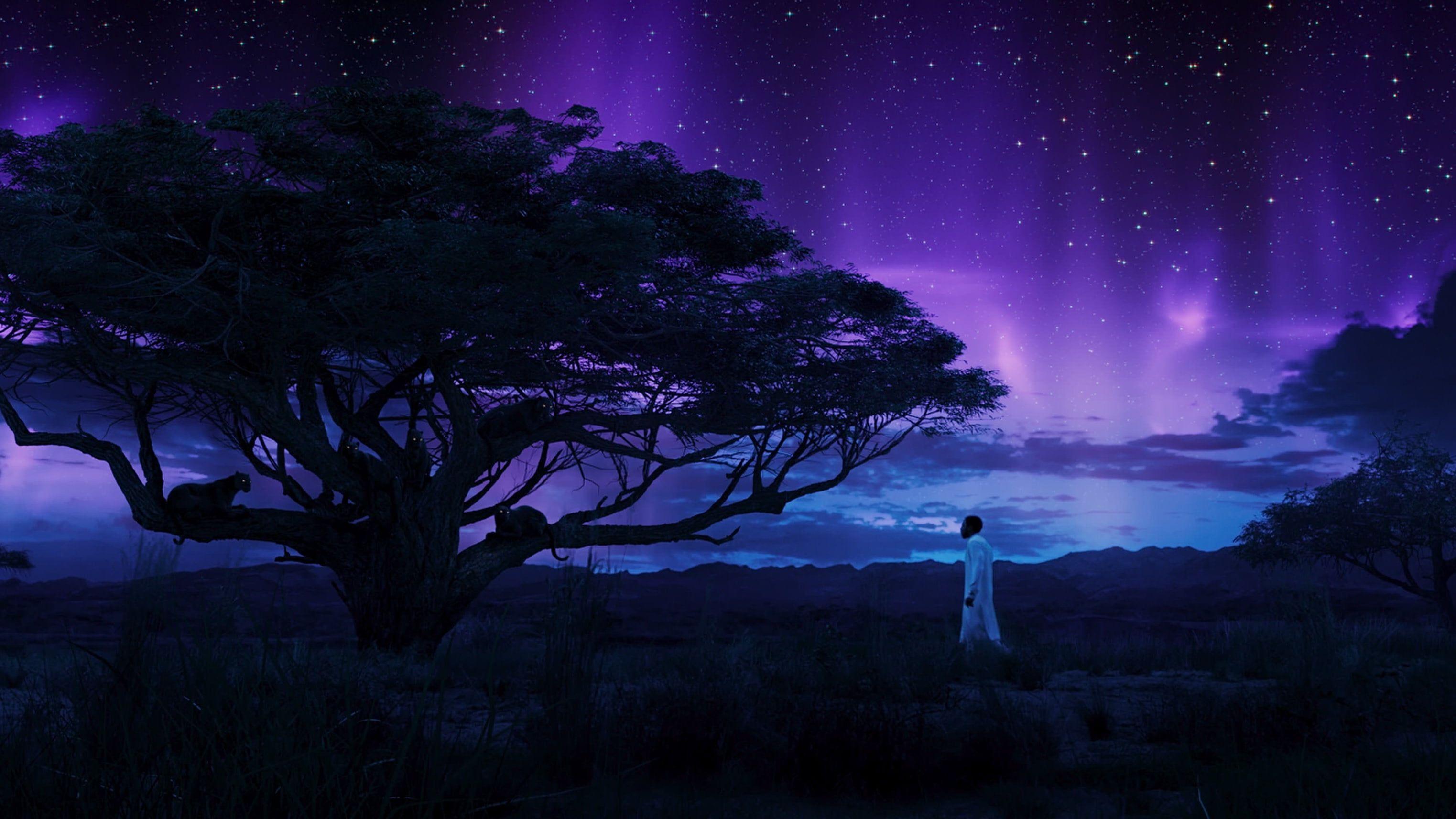 Black Panther Tree Wallpapers - Top Free Black Panther Tree Backgrounds ...