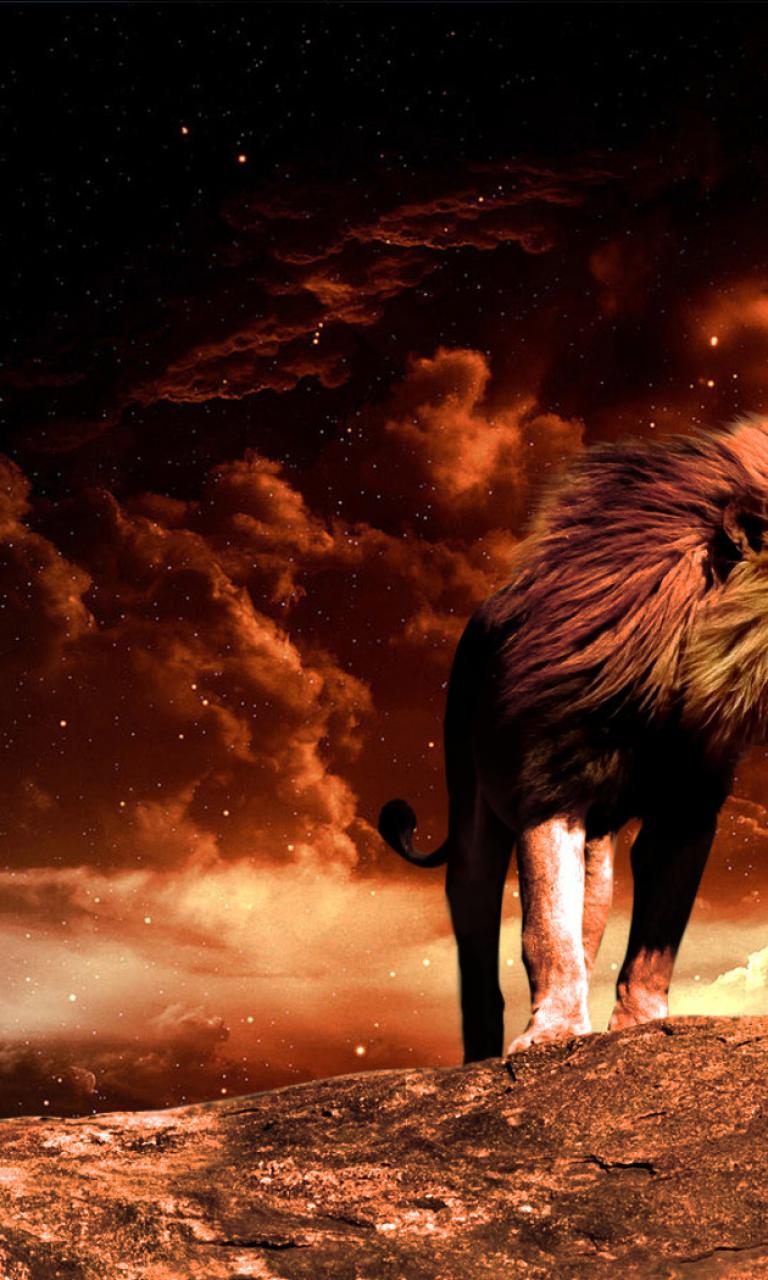 Red Lion iPhone Wallpapers - Top Free Red Lion iPhone Backgrounds ...