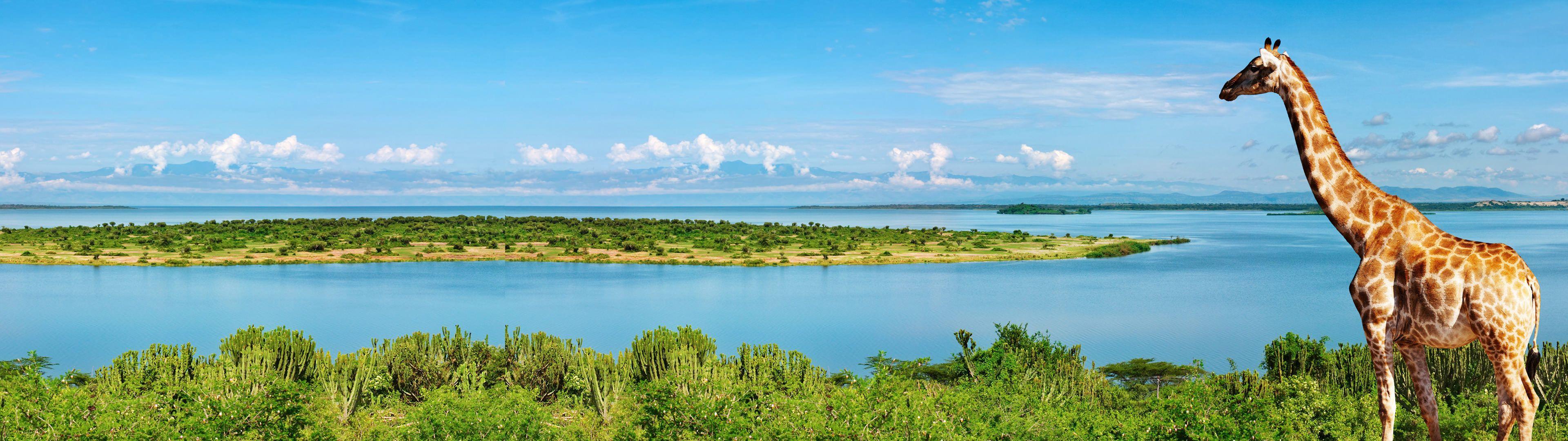 Dual Screen Landscape Wallpapers - Top Free Dual Screen Landscape ...