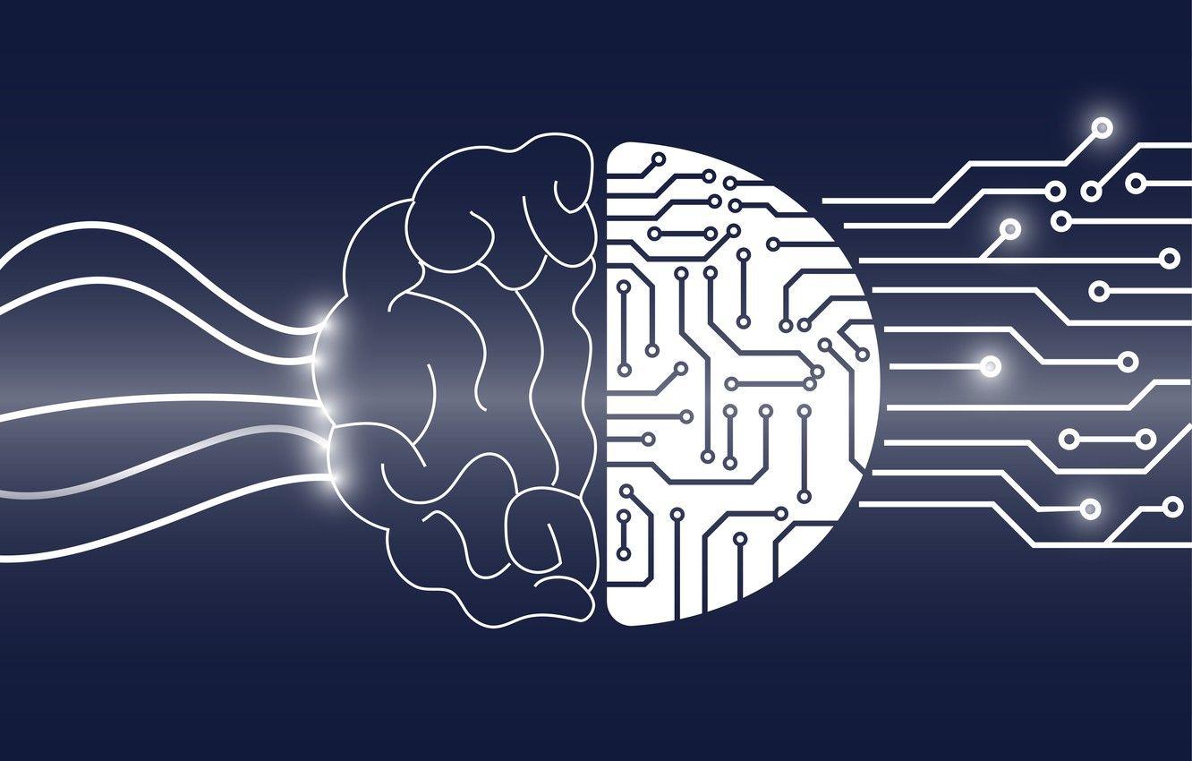Brain Intelligence Wallpapers - Top Free Brain Intelligence Backgrounds ...