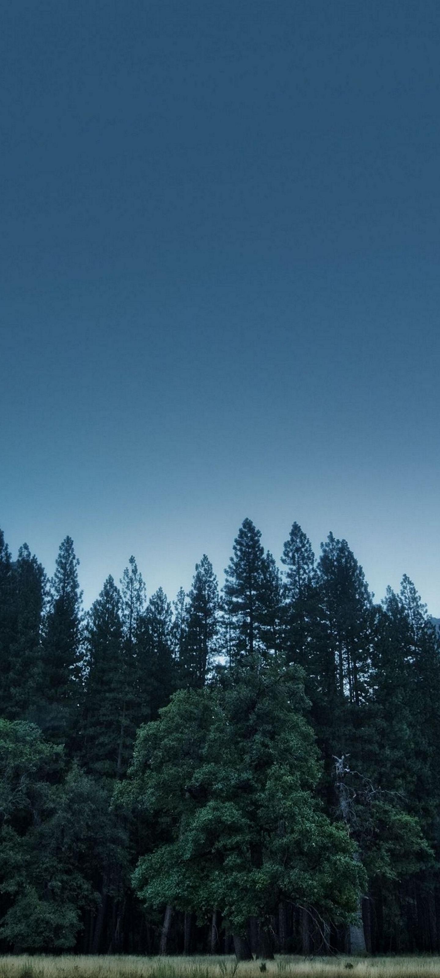 1440X3200 Wallpapers - Top Free 1440X3200 Backgrounds - WallpaperAccess