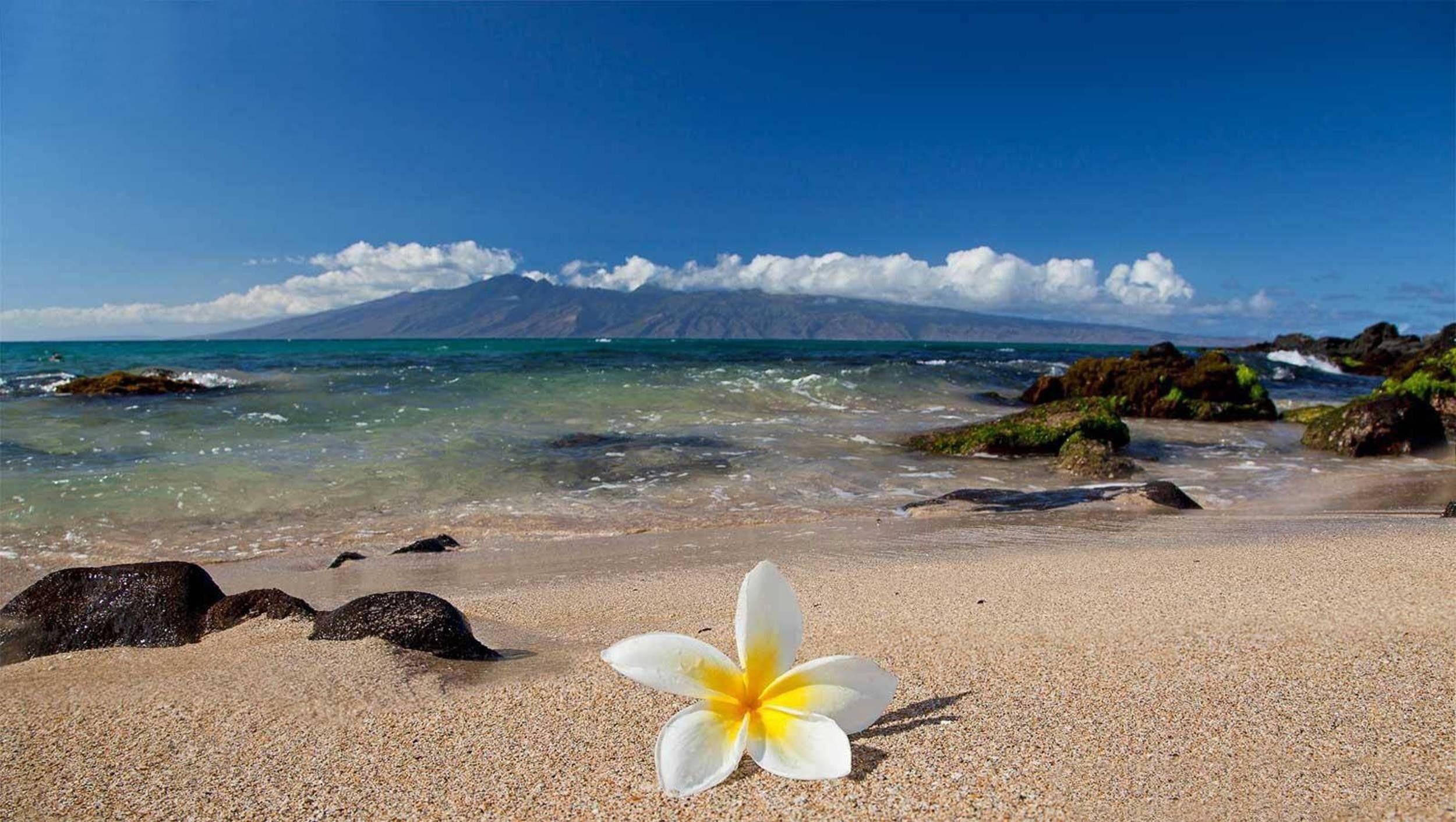 Maui Beach Wallpapers - Top Free Maui Beach Backgrounds - WallpaperAccess