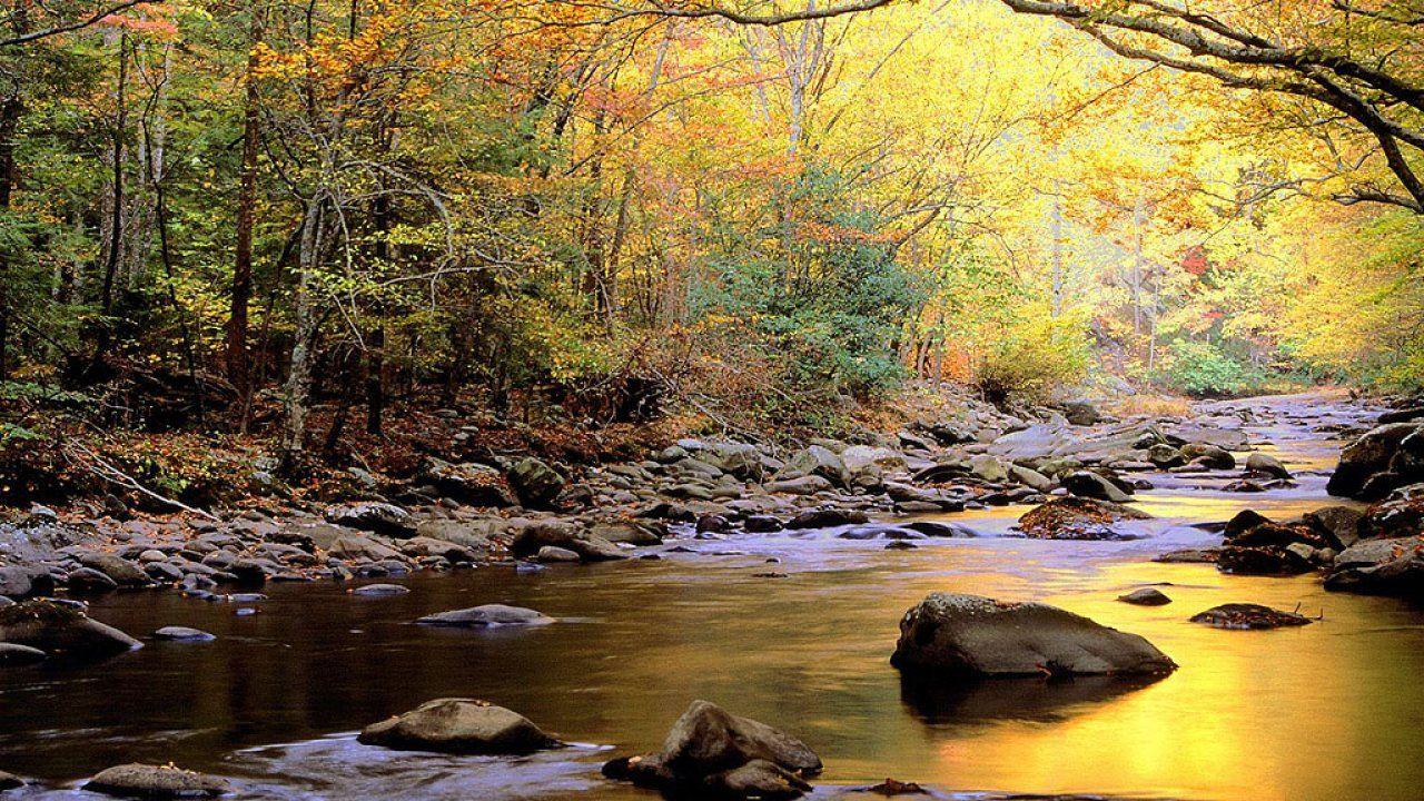 River Desktop Wallpapers - Top Free River Desktop Backgrounds ...