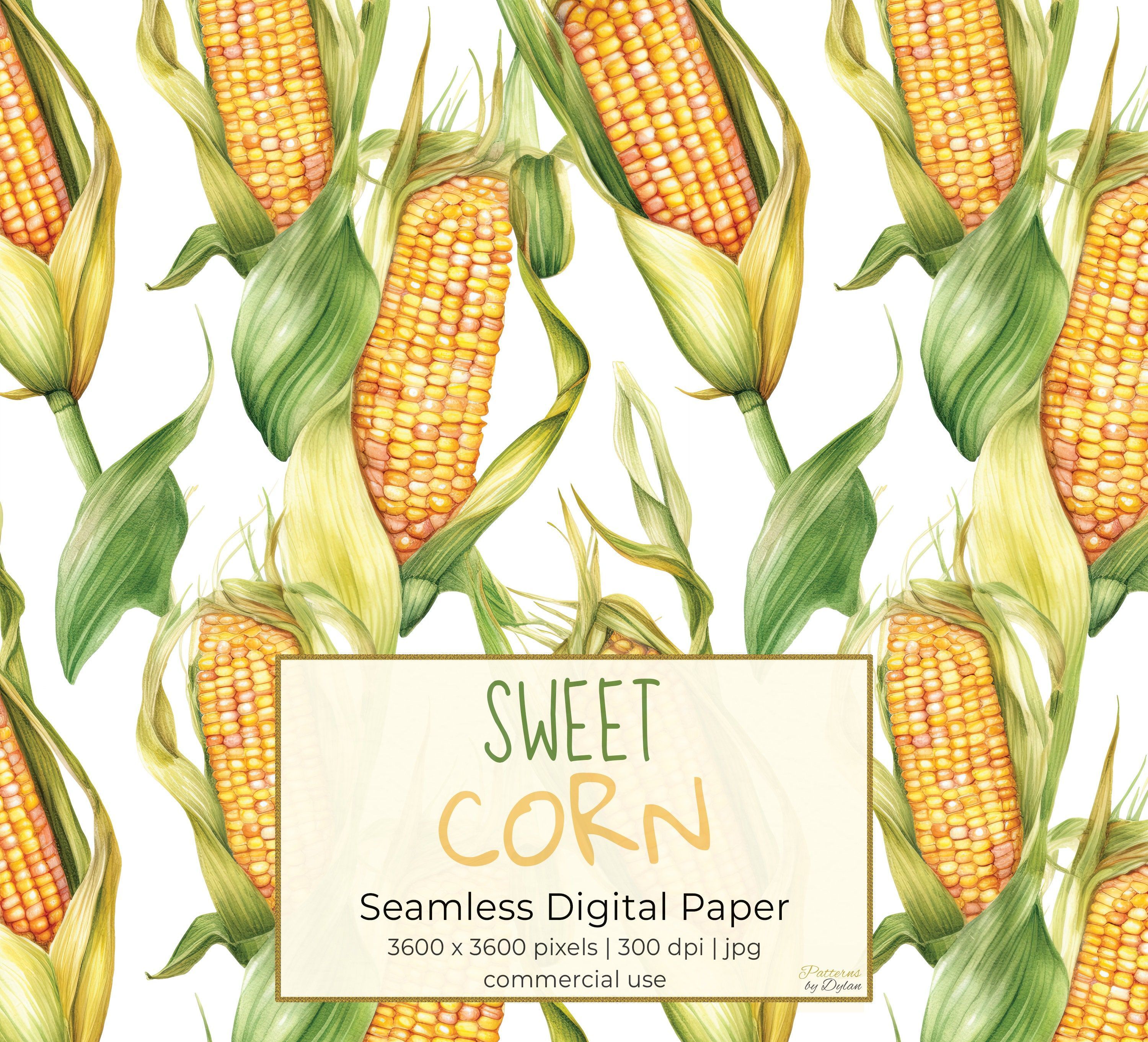 Sweet Corn Wallpapers - Top Free Sweet Corn Backgrounds - WallpaperAccess