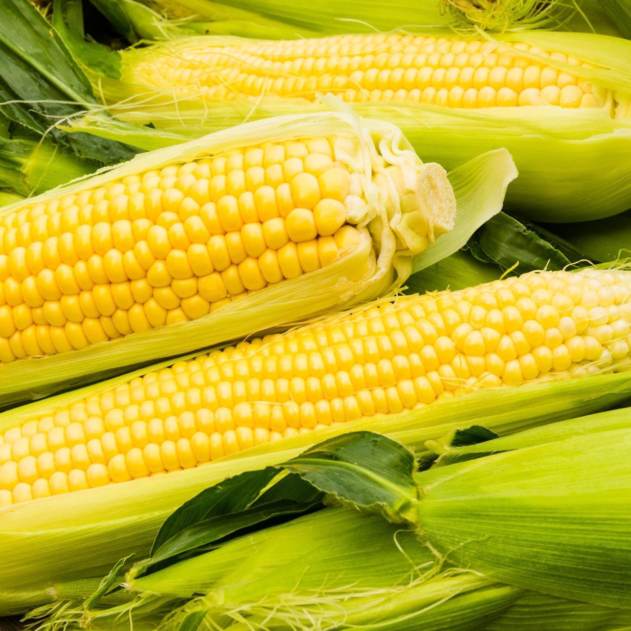 Sweet Corn Wallpapers - Top Free Sweet Corn Backgrounds - WallpaperAccess
