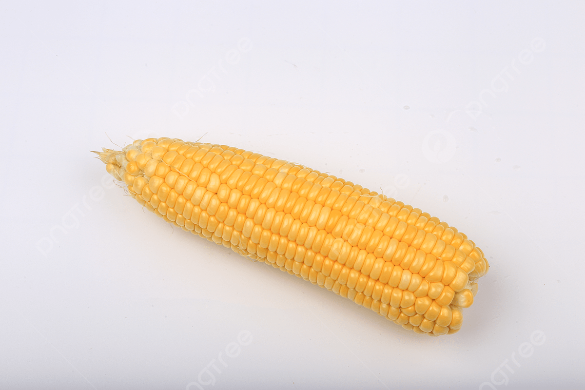 Sweet Corn Wallpapers - Top Free Sweet Corn Backgrounds - WallpaperAccess