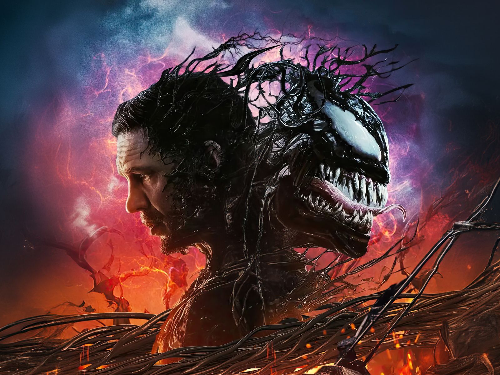 Venom: The Last Dance Wallpapers - Top Free Venom: The Last Dance Backgrounds - WallpaperAccess