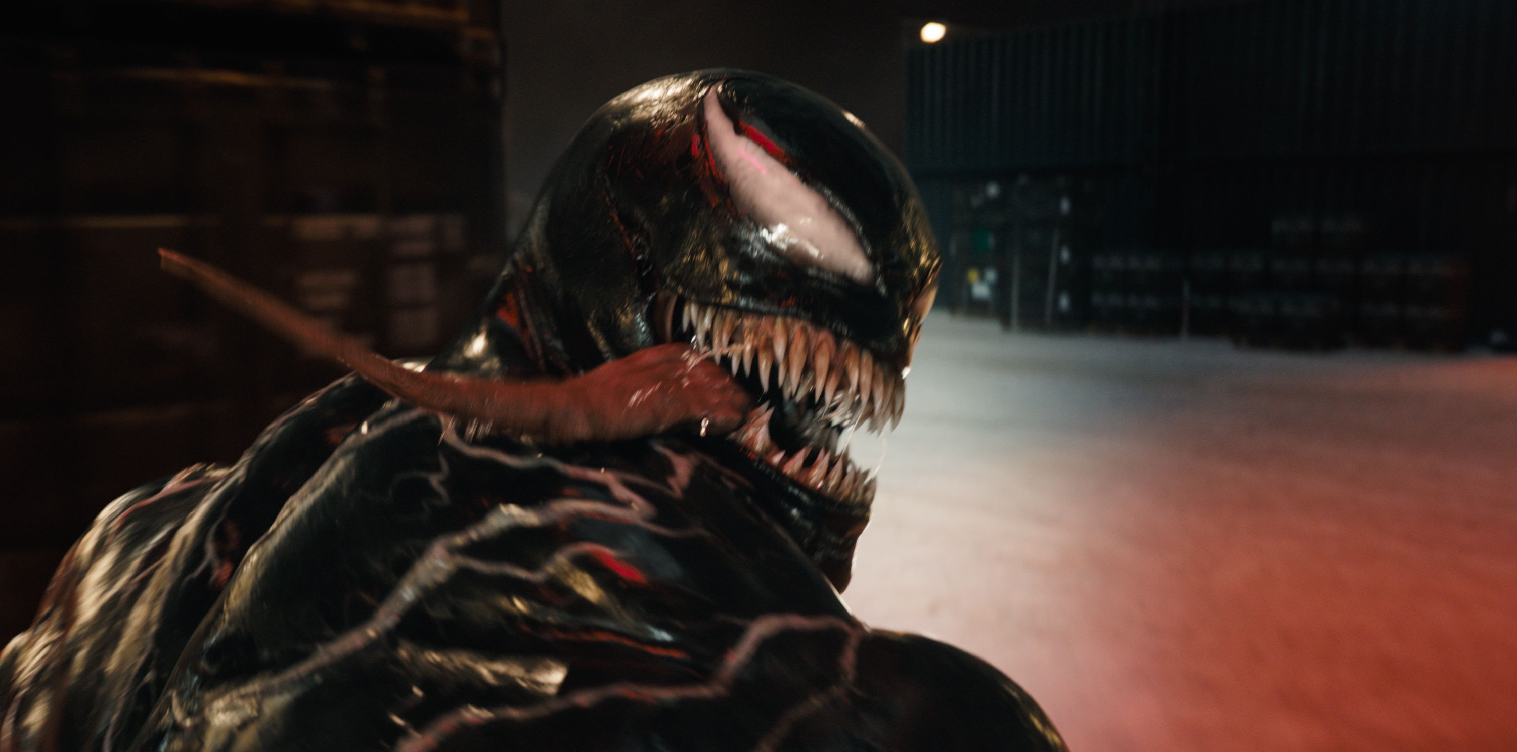 Venom: The Last Dance Wallpapers - Top Free Venom: The Last Dance ...