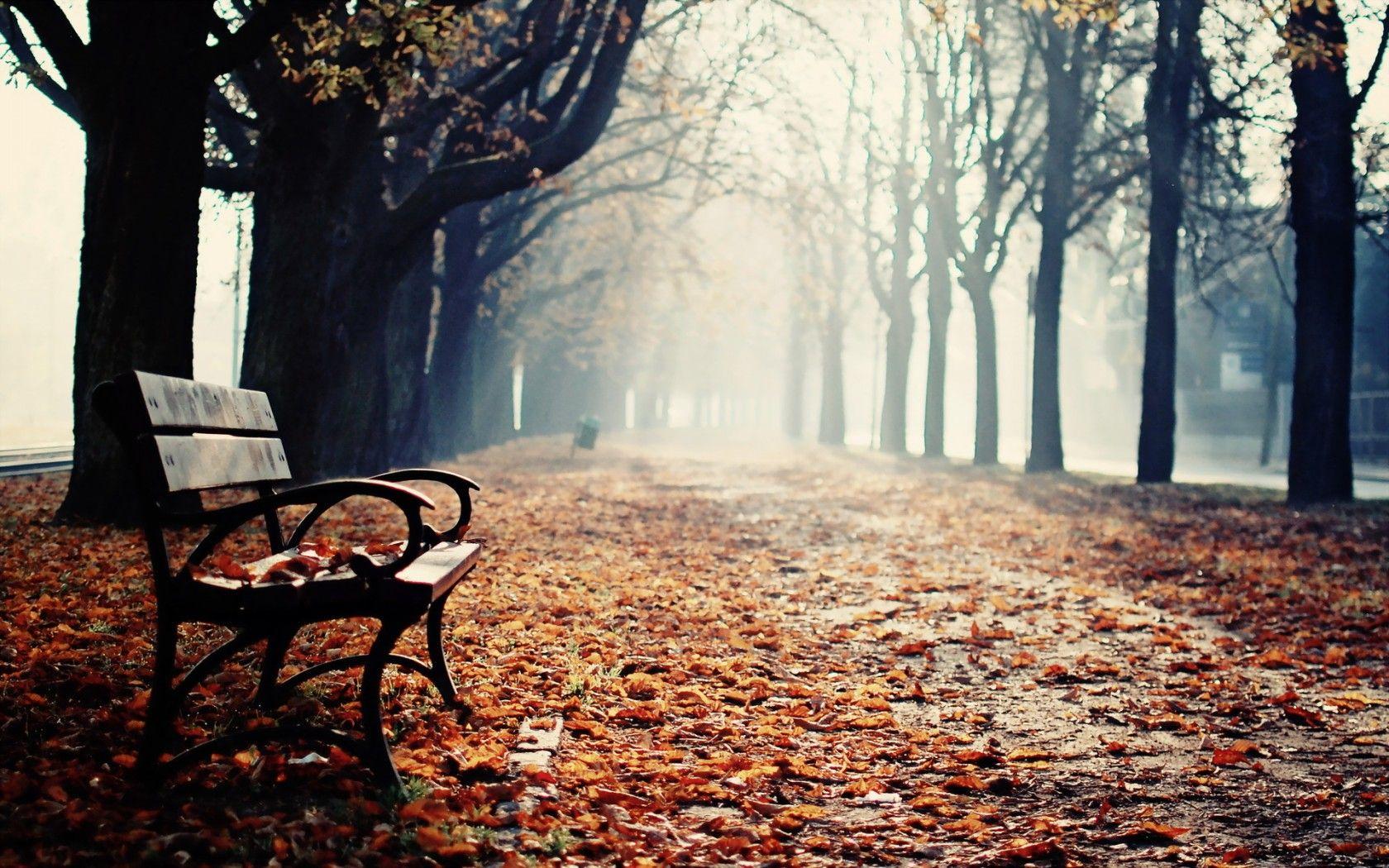 Bench Wallpapers - Top Free Bench Backgrounds - WallpaperAccess