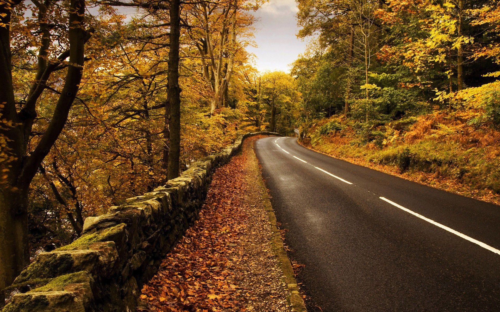 Autumn Road Wallpapers - Top Free Autumn Road Backgrounds - WallpaperAccess