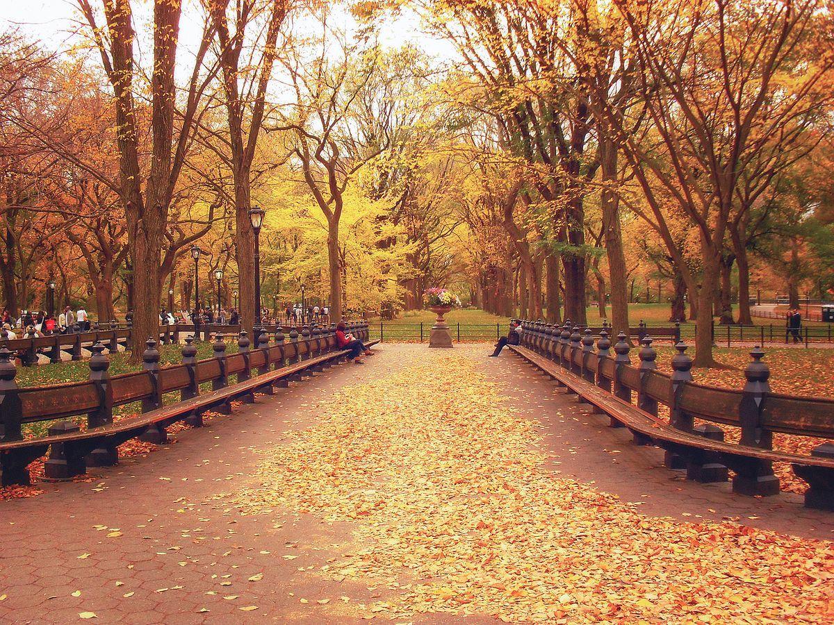Autumn in New York Wallpapers - Top Free Autumn in New York Backgrounds ...