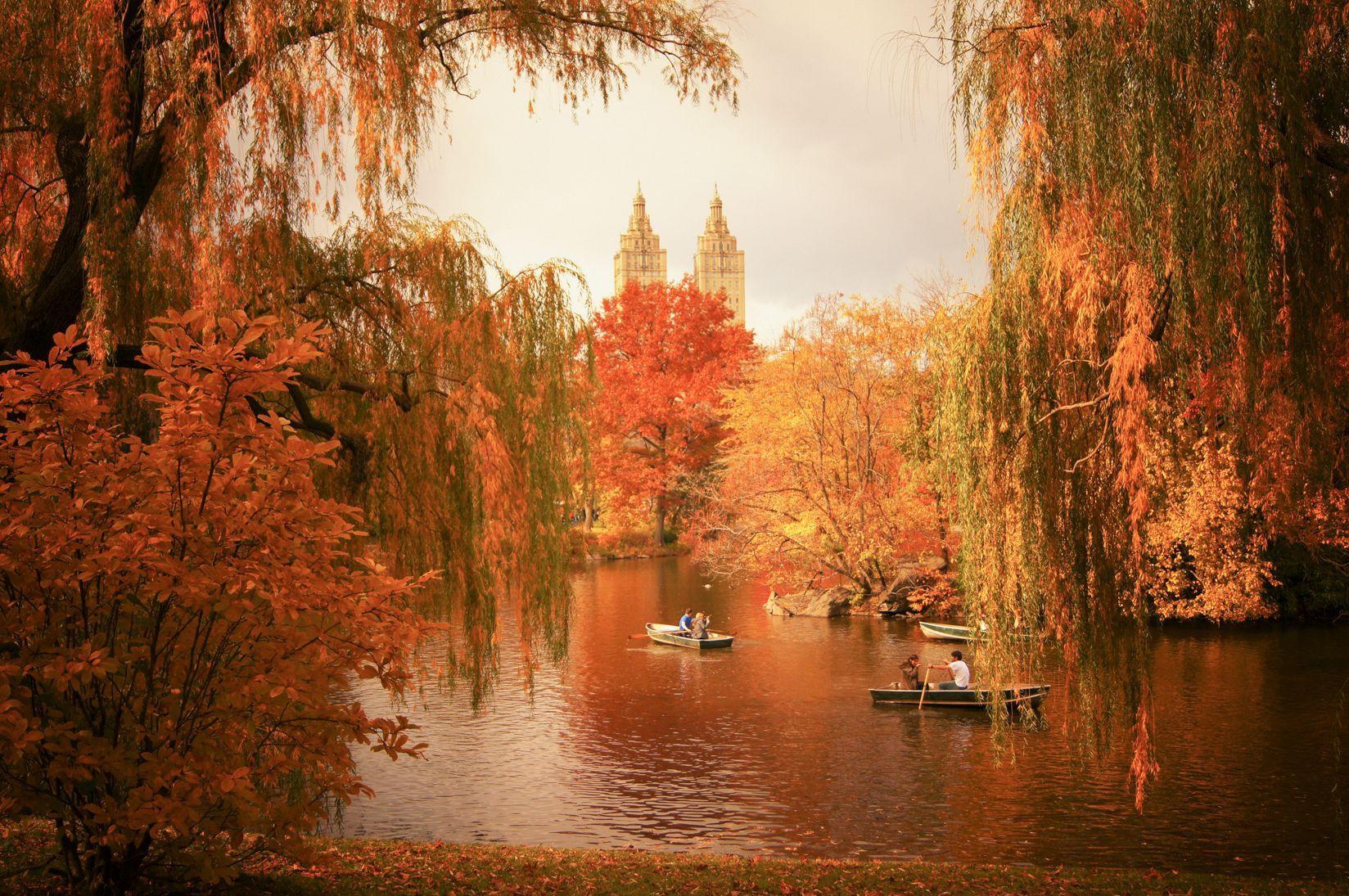 Central Park Autumn Wallpapers - Top Free Central Park Autumn ...