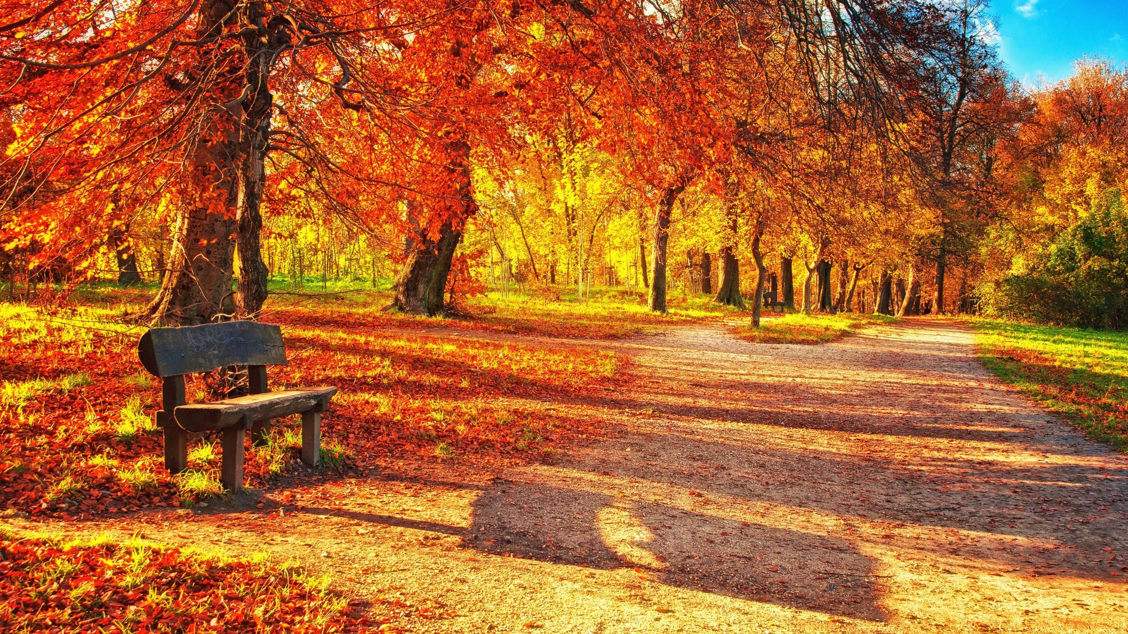 Bench Wallpapers - Top Free Bench Backgrounds - WallpaperAccess