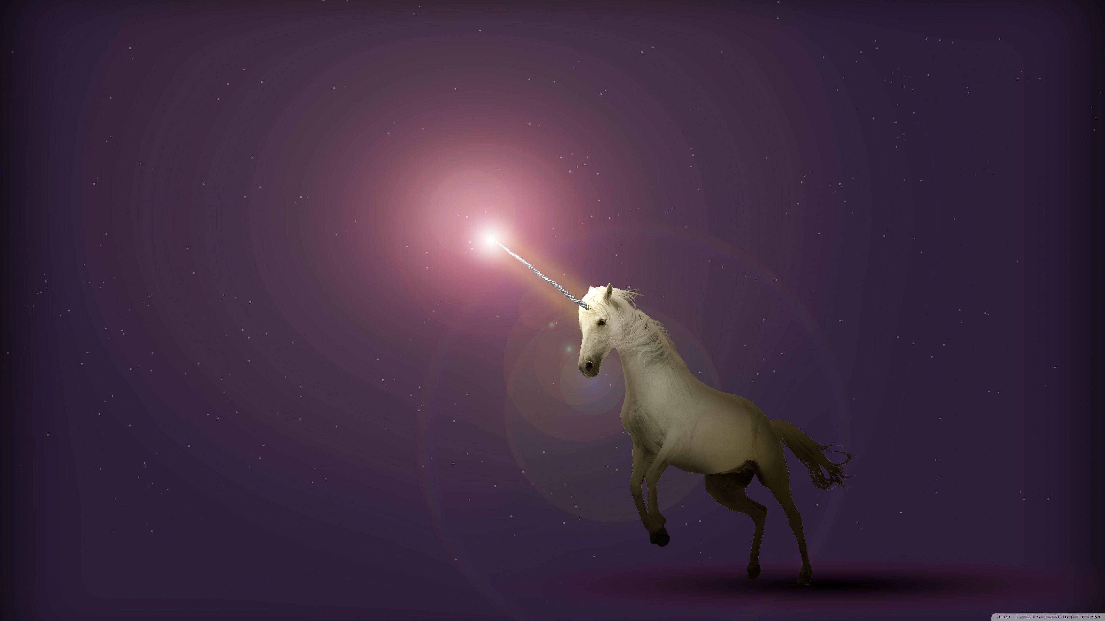 4k Unicorn Wallpapers - Top Free 4k Unicorn Backgrounds - WallpaperAccess