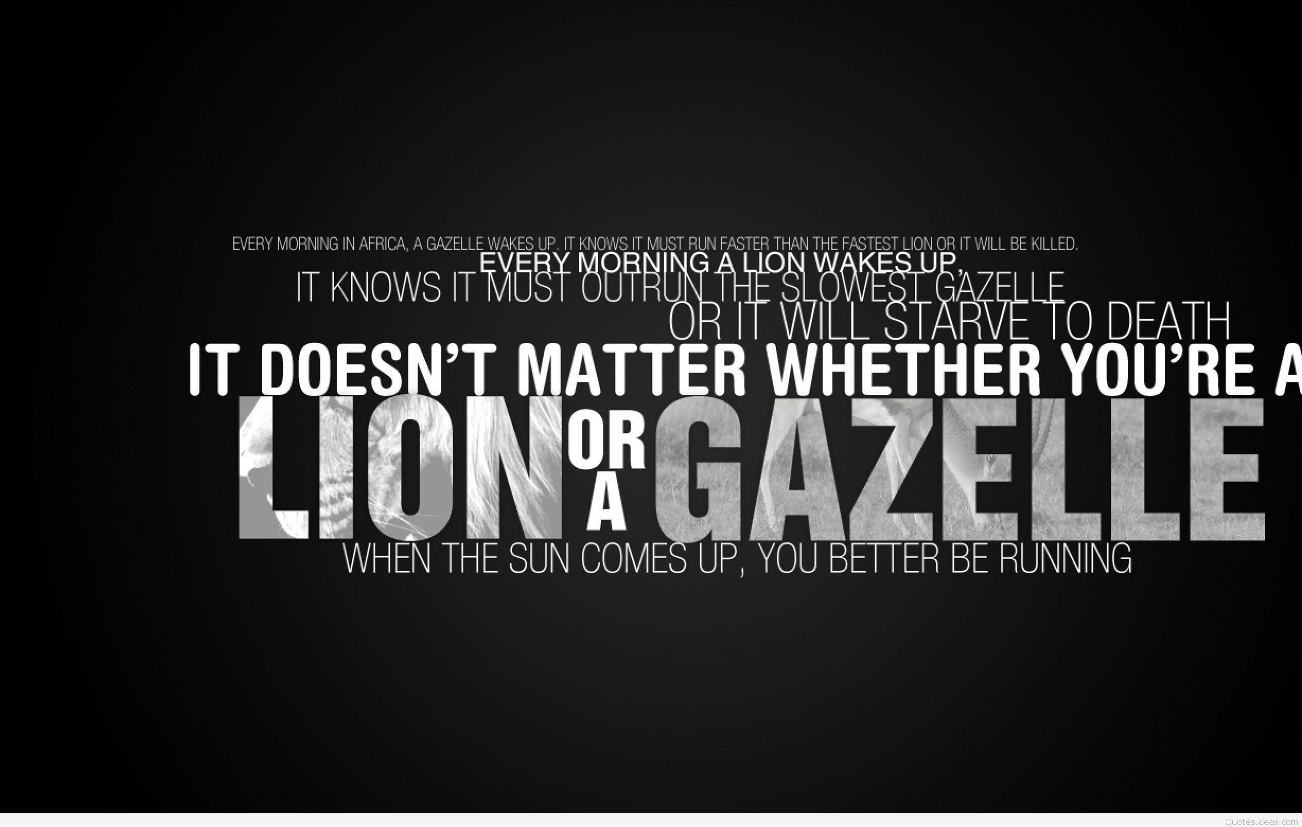 Bodybuilding Quotes Wallpapers - Top Free Bodybuilding Quotes ...