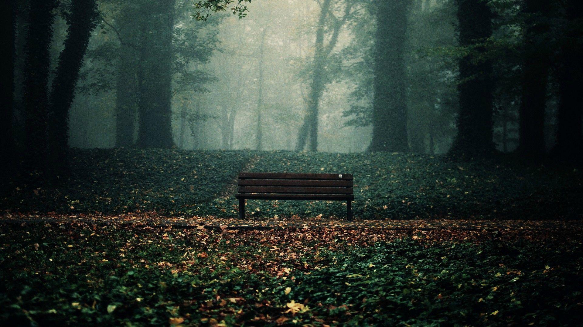 Bench Wallpapers - Top Free Bench Backgrounds - WallpaperAccess