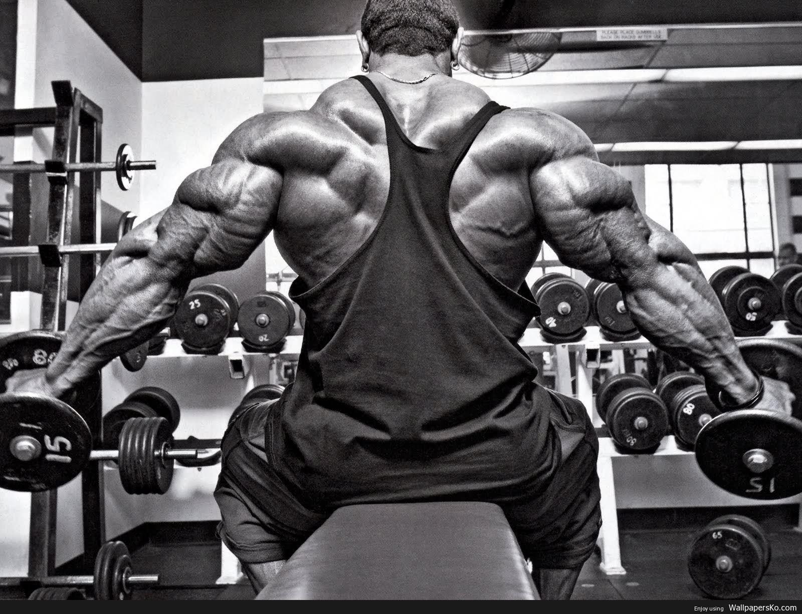 Aesthetic Bodybuilding Wallpapers - Top Free Aesthetic Bodybuilding ...