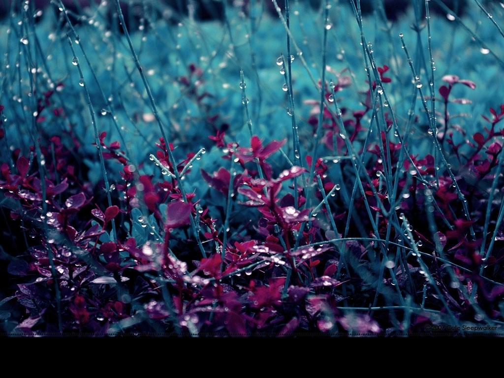 Spring Rain Wallpapers - Top Free Spring Rain Backgrounds - WallpaperAccess