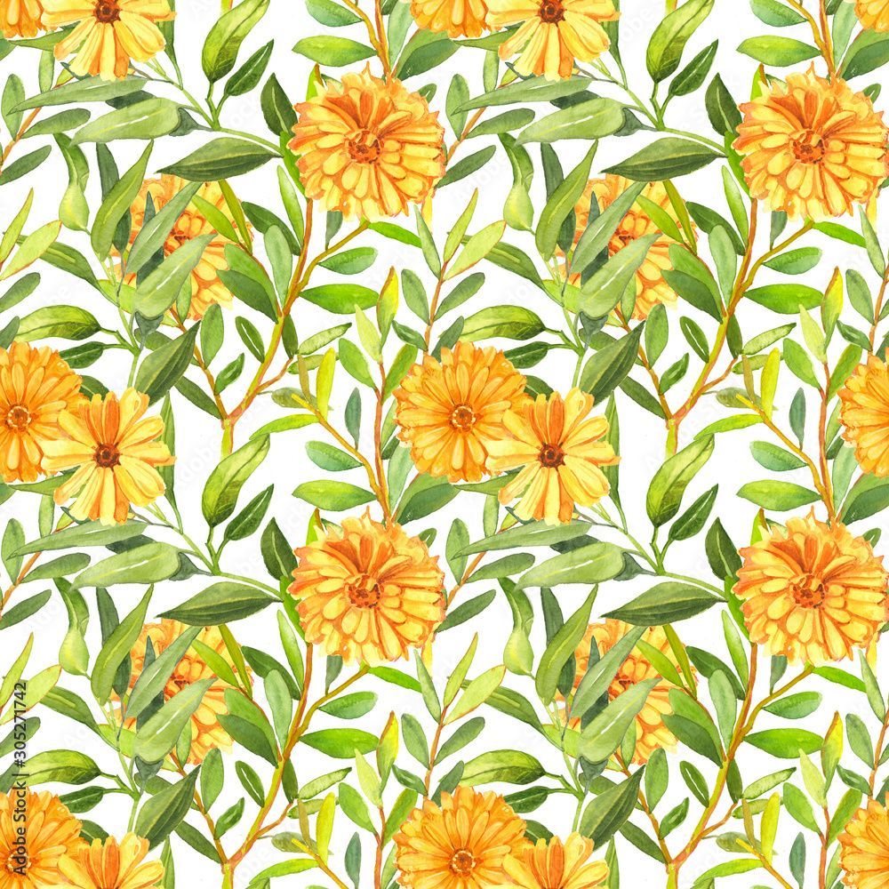 Calendula Wallpapers - Top Free Calendula Backgrounds - WallpaperAccess