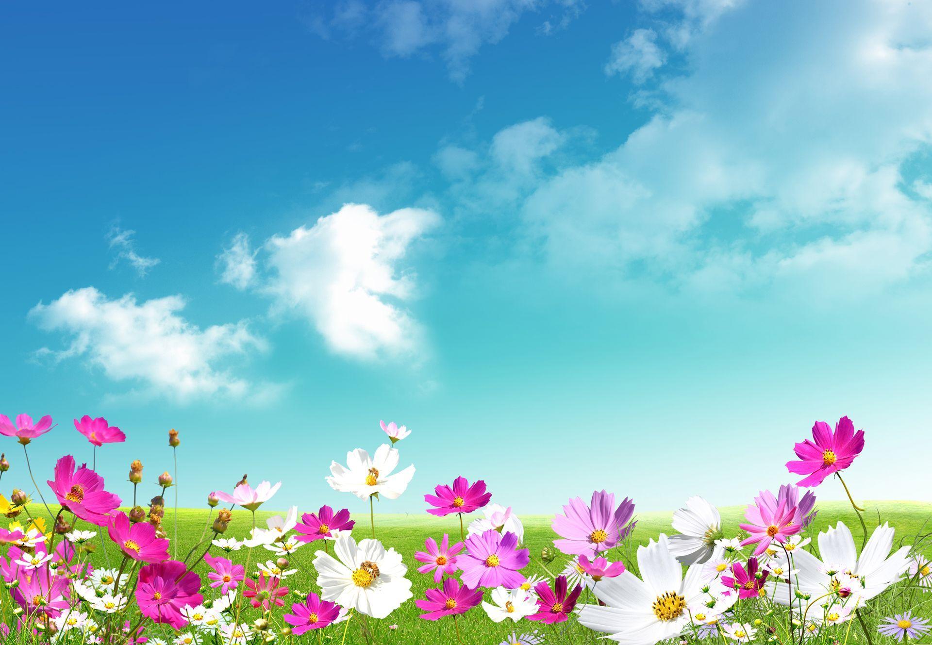 Spring Scenes Wallpapers - Top Free Spring Scenes Backgrounds ...