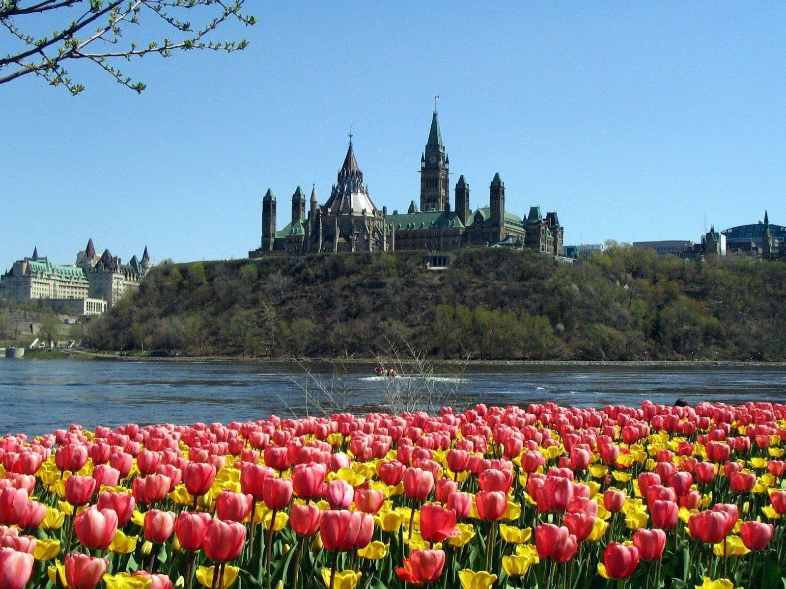 Spring Scenes Wallpapers - Top Free Spring Scenes Backgrounds ...